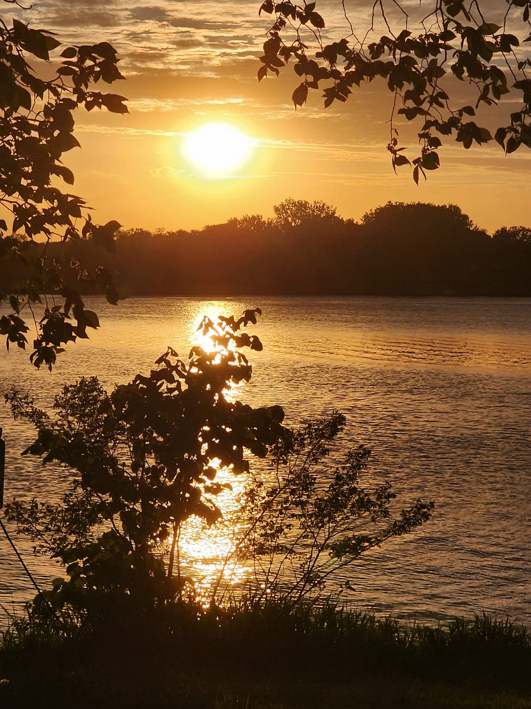 Do new facilities really translate to wins? – Grove Lake Association